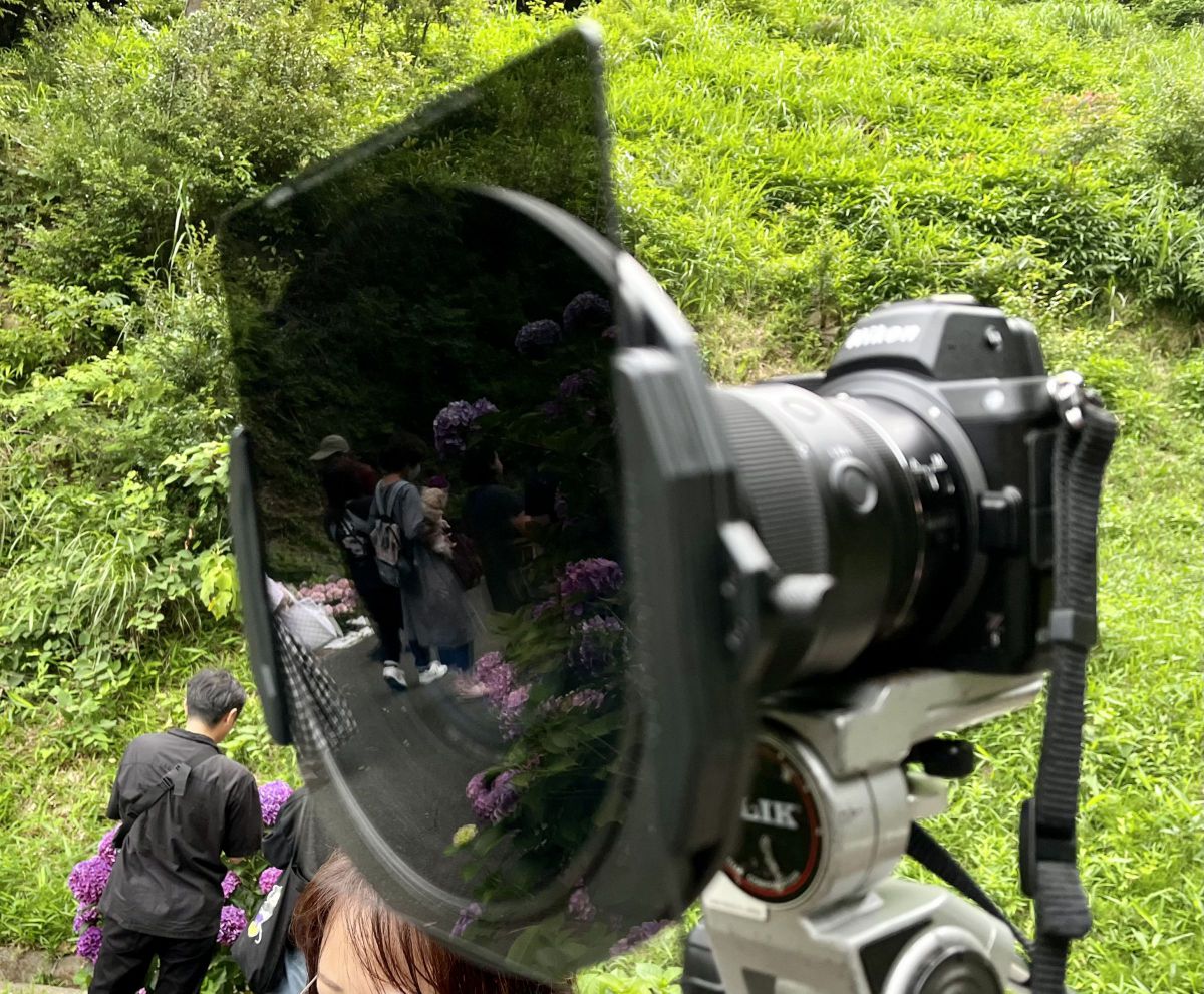 NIKON Z 8 レビュー どうするフィルター？【Vol.10】 | GANREF