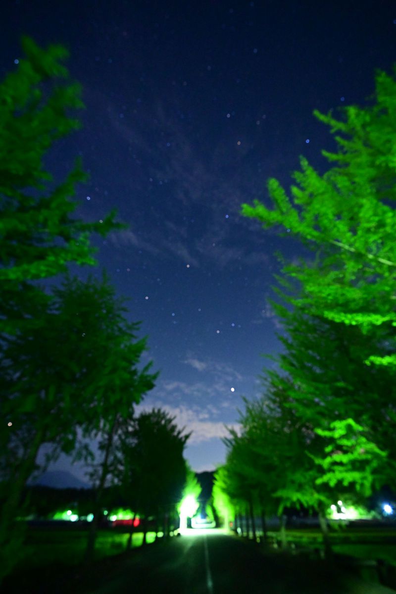 NIKON Z 8 レビュー 初めての星空撮影に挑戦！【Vol.16】 | GANREF