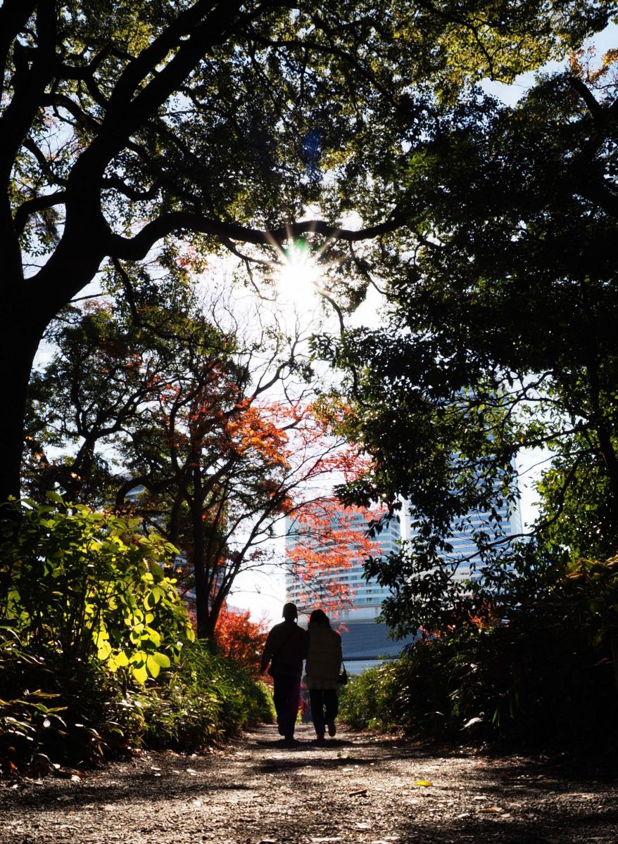 Two people in late autumn | GANREF