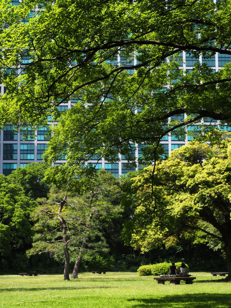 urban oasis | GANREF