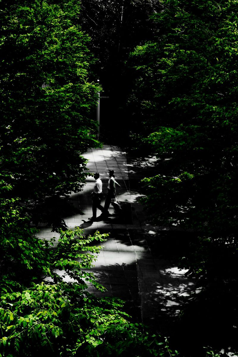 fresh green | GANREF