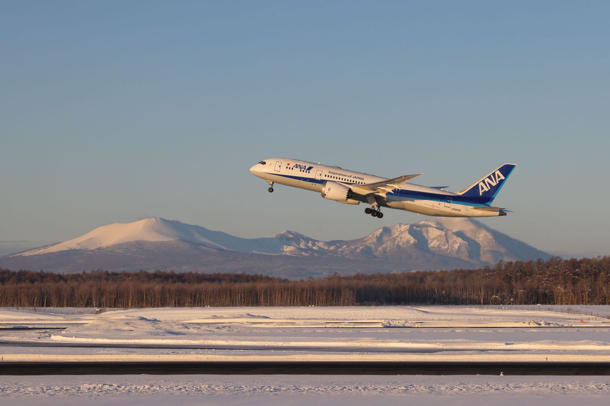 ANA B787 in winter | GANREF