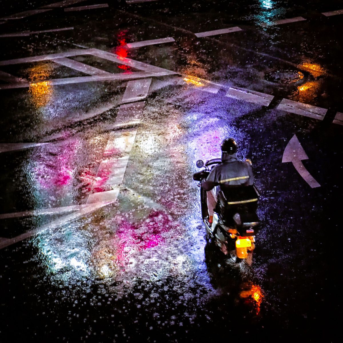 雨中のサクラ | GANREF
