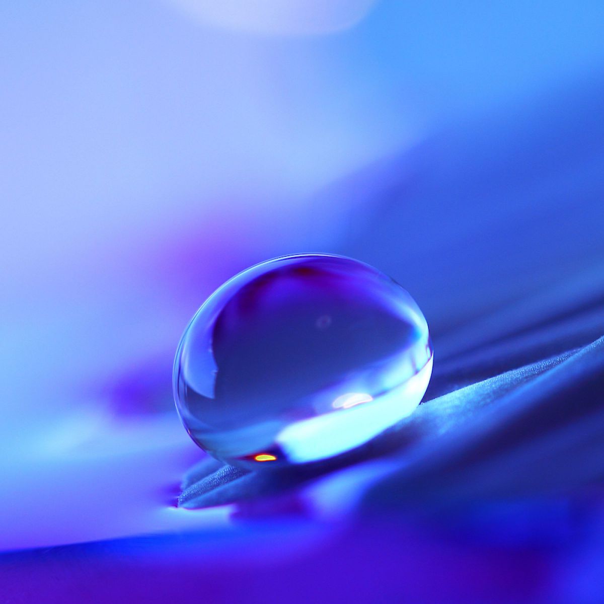 Blue-Violet | GANREF