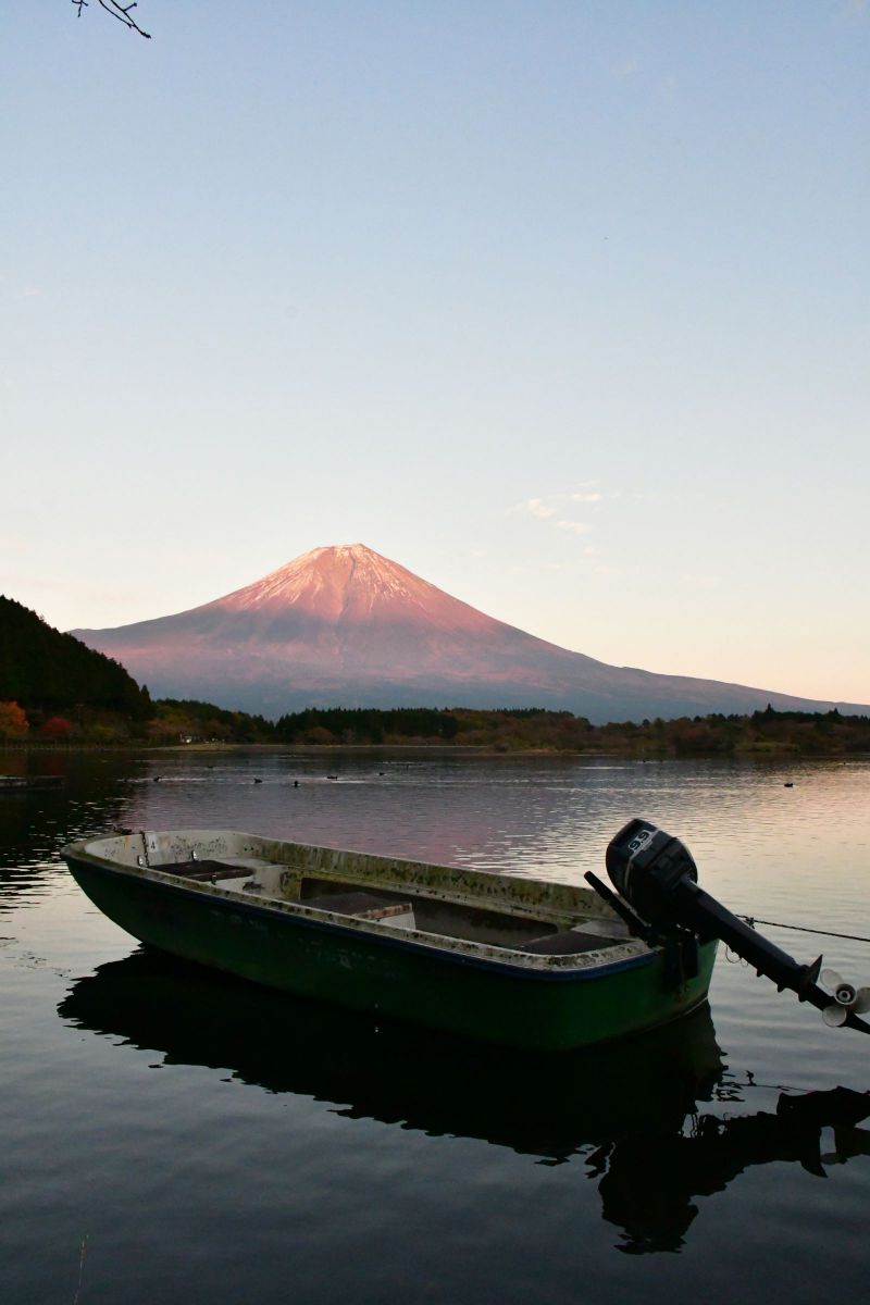 To the mountain | GANREF