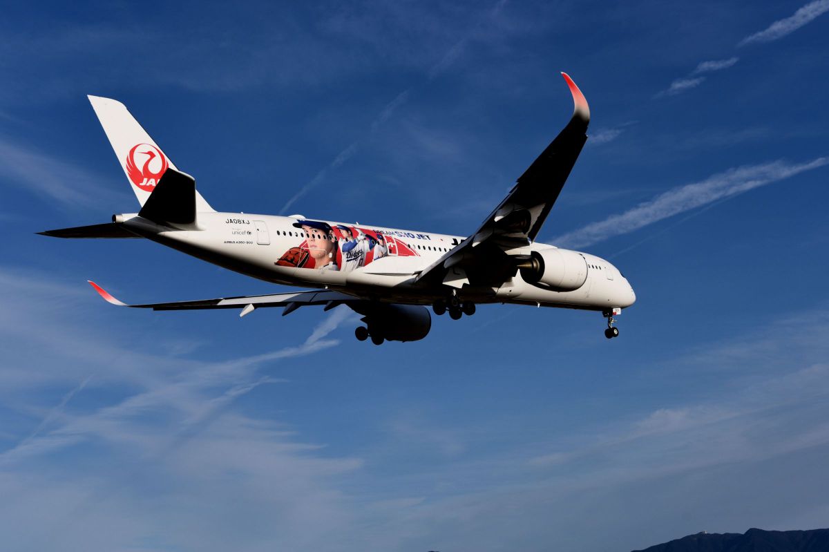 JAL 1185「DREAM SHOJET」11 | GANREF