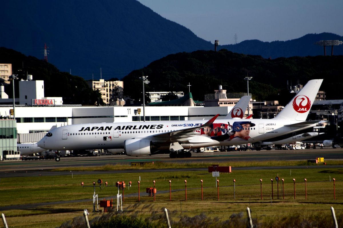 JAL 1184「DREAM SHOJET」10 | GANREF