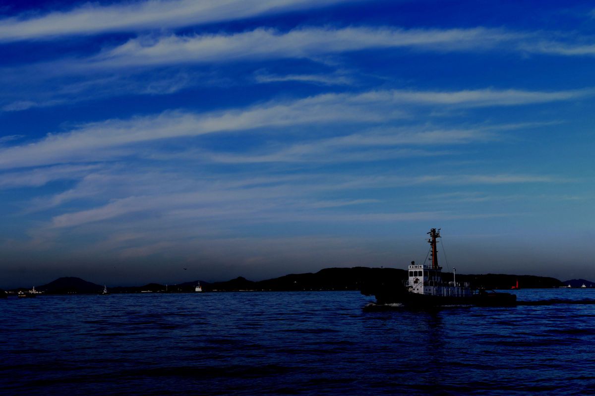 「枯れ木も山の賑わい」232「夜明け」. | GANREF