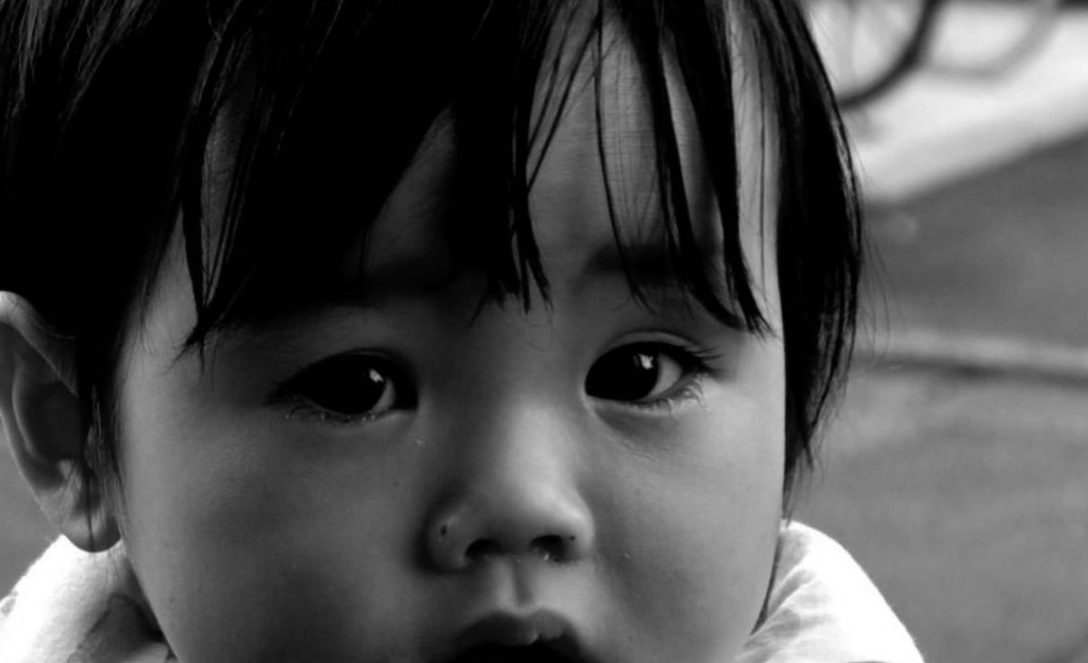 つぶらな瞳」 | GANREF