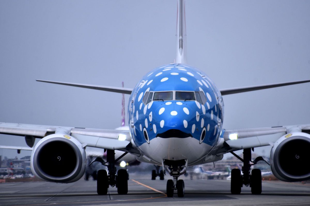 JAL1252 | GANREF