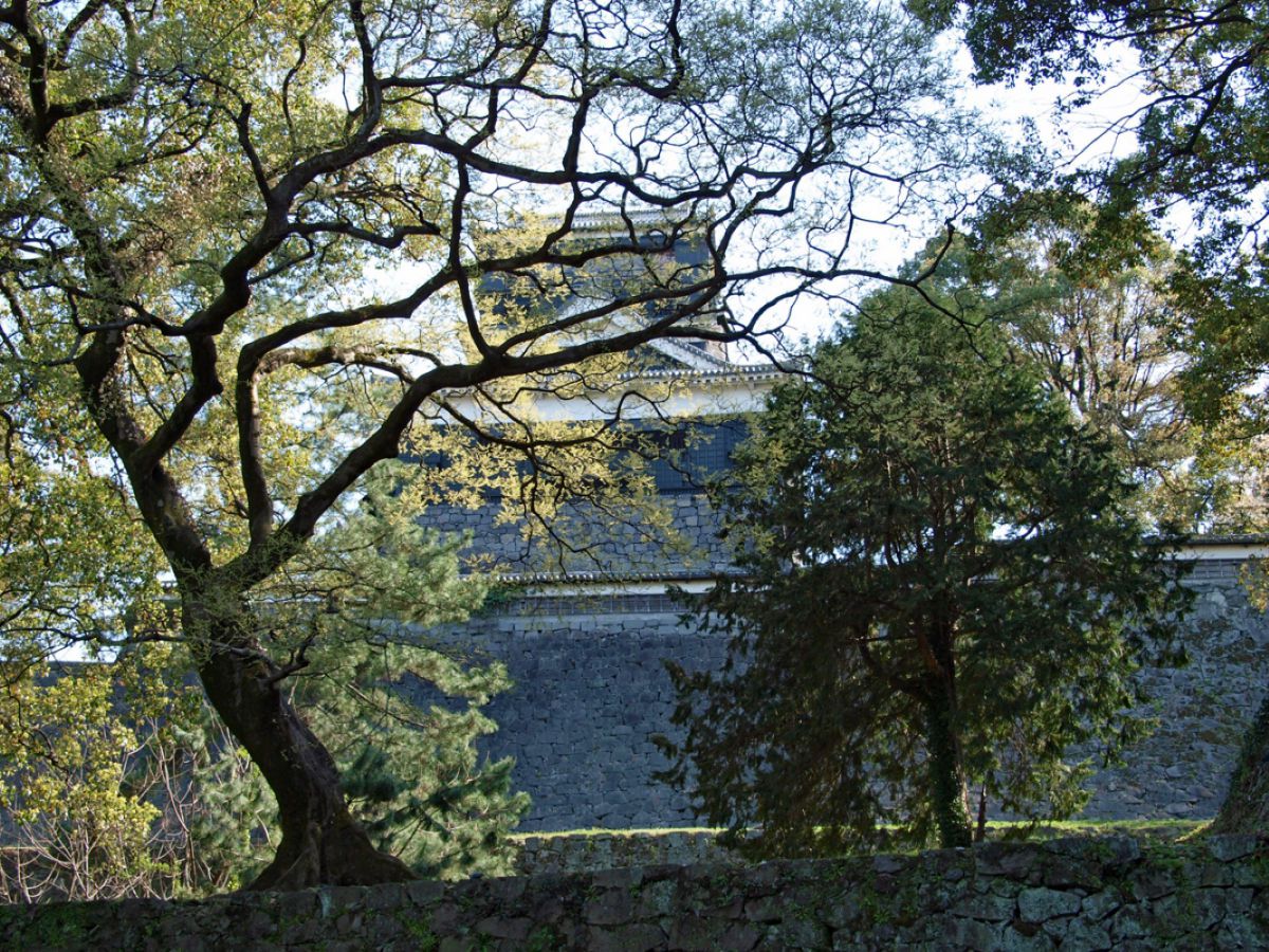 熊本場内03-04-2008 | GANREF