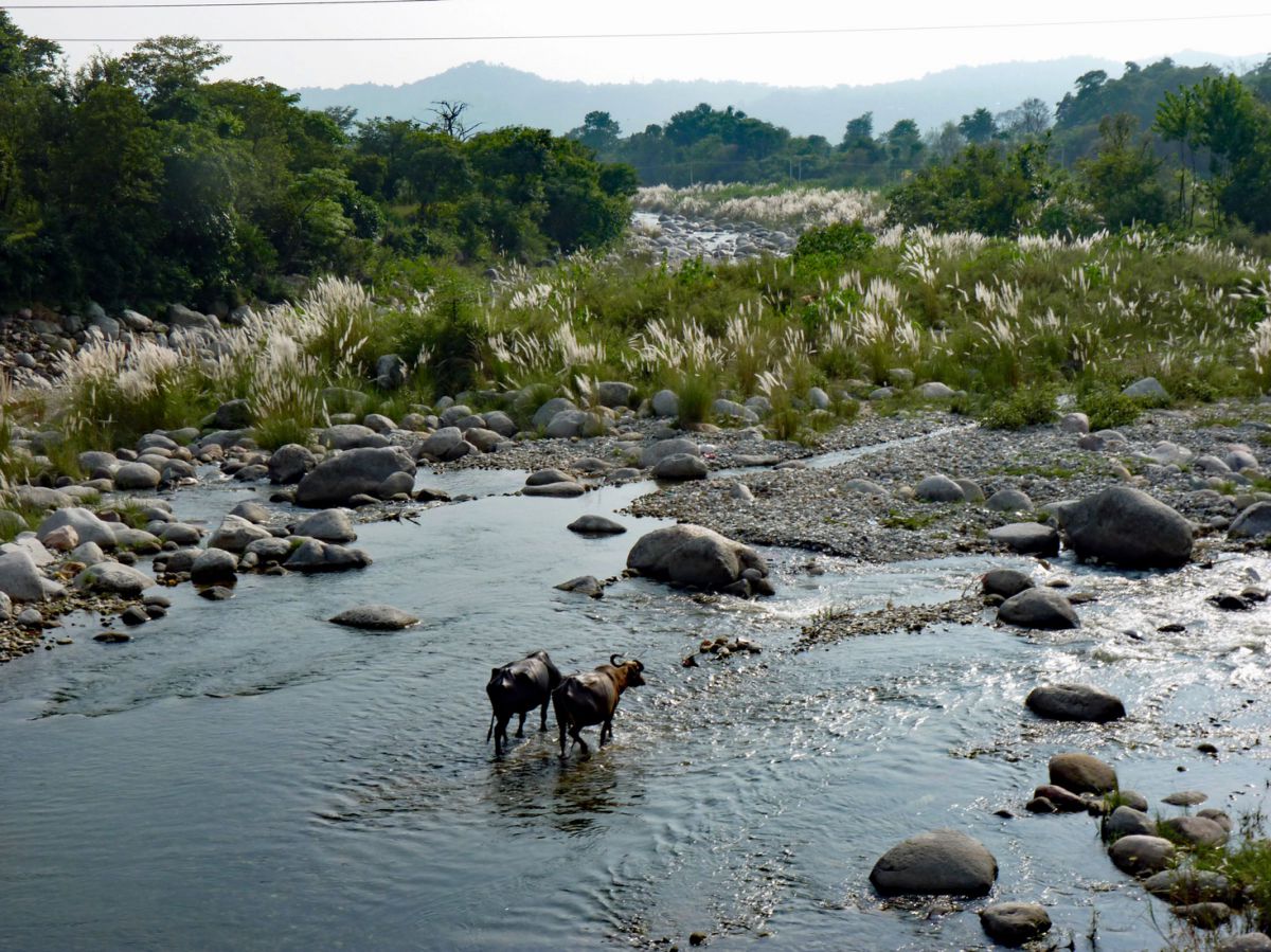 Bir (HP) India 05-10-2009 | GANREF