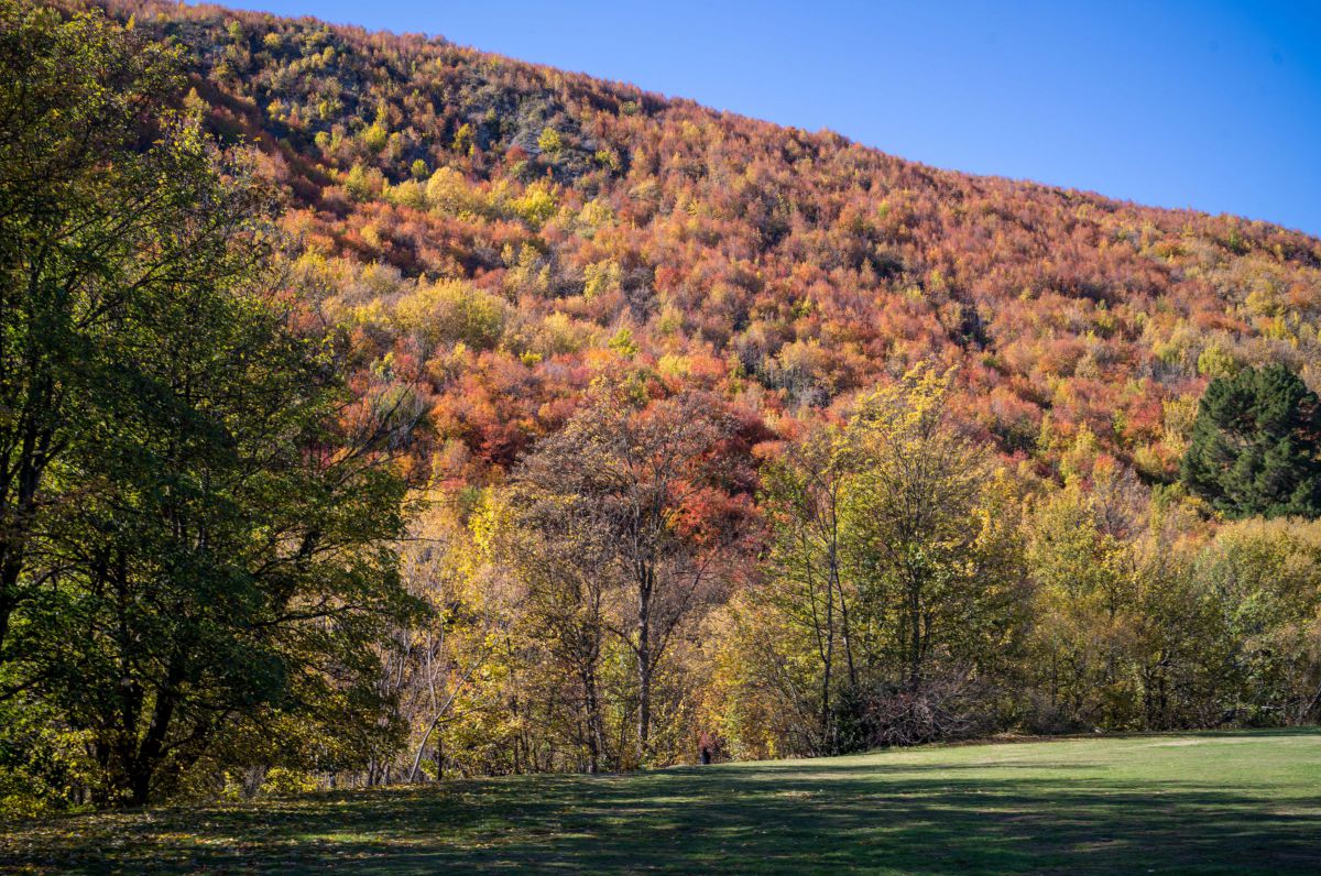 Arrowtown NZ. 17-04-2024 | GANREF