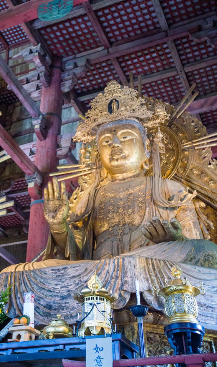 Nara Japan. 07-06-2022 | GANREF