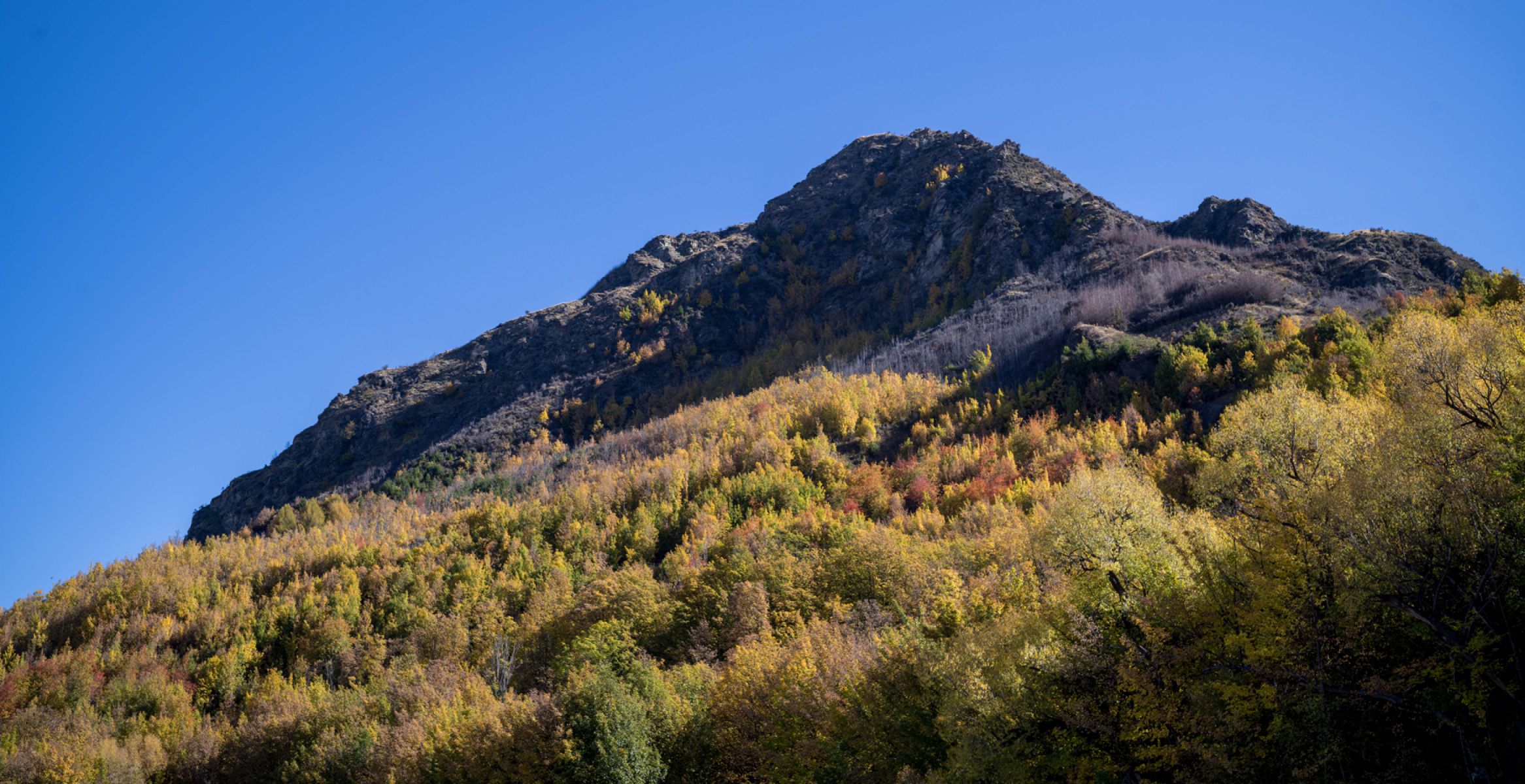 Arrowtown NZ. 17-04-2024 | GANREF