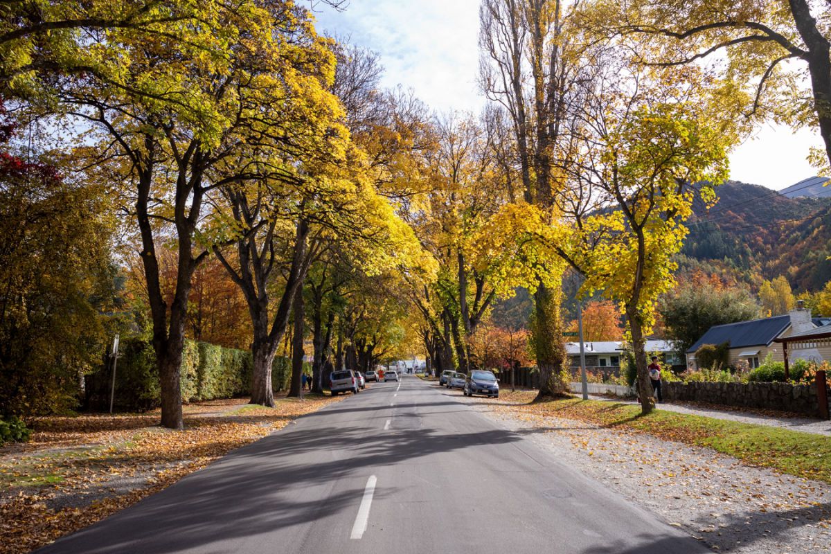 Arrow Town NZ.29-04-2020 | GANREF