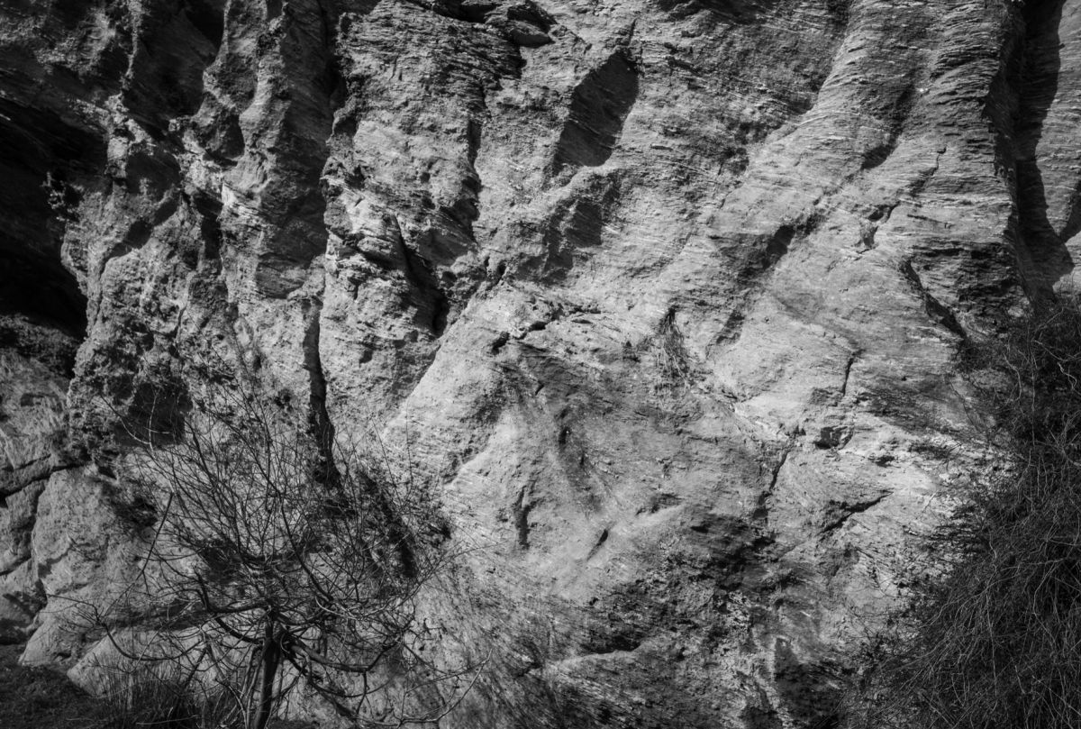 Objects created by nature Queenstown | GANREF