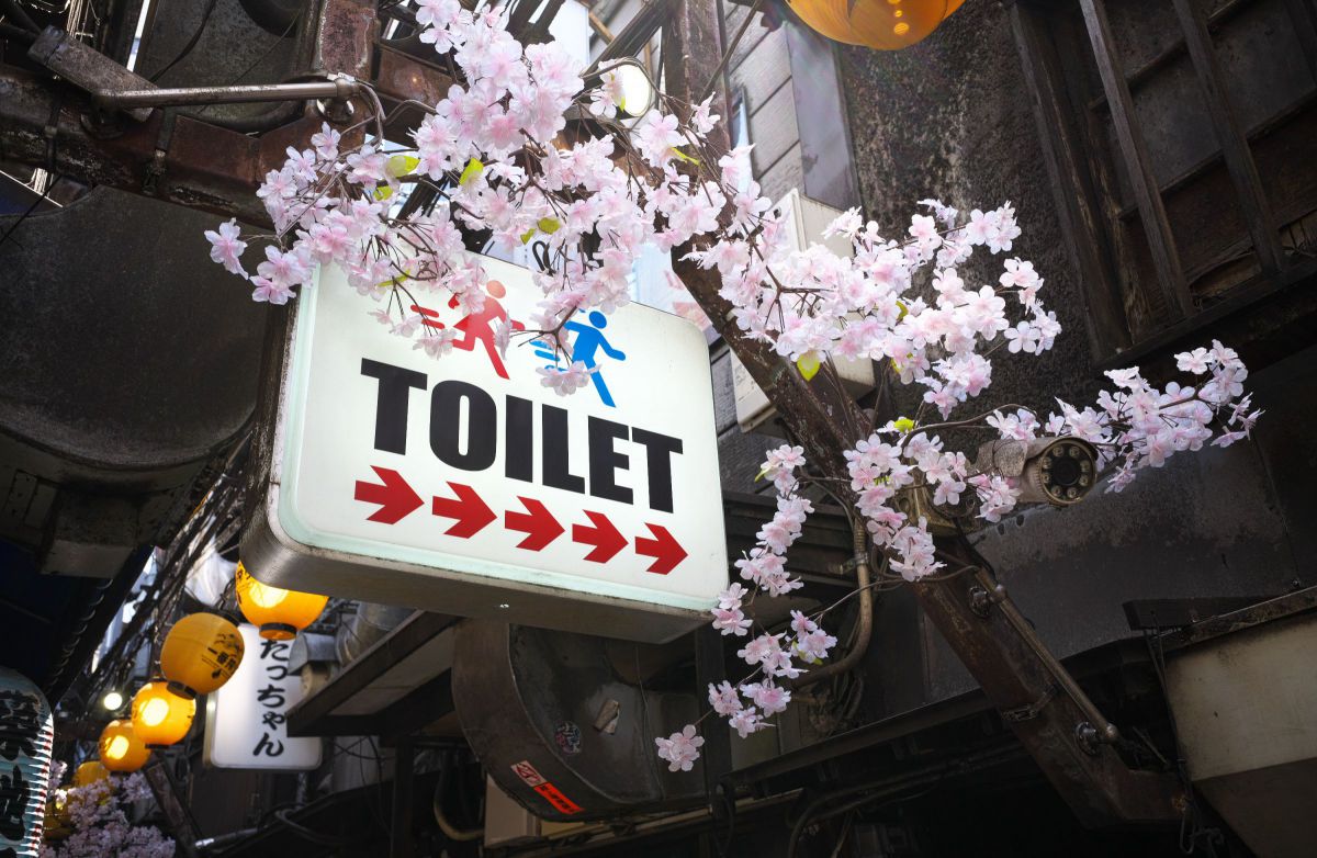 2025 sakura...... | GANREF