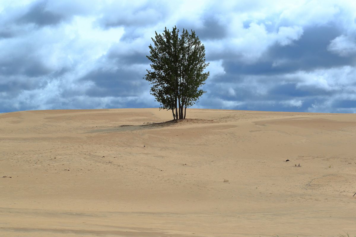 Deep inside | GANREF