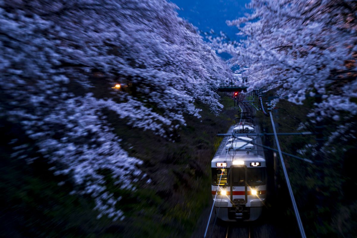 春駆ける | GANREF