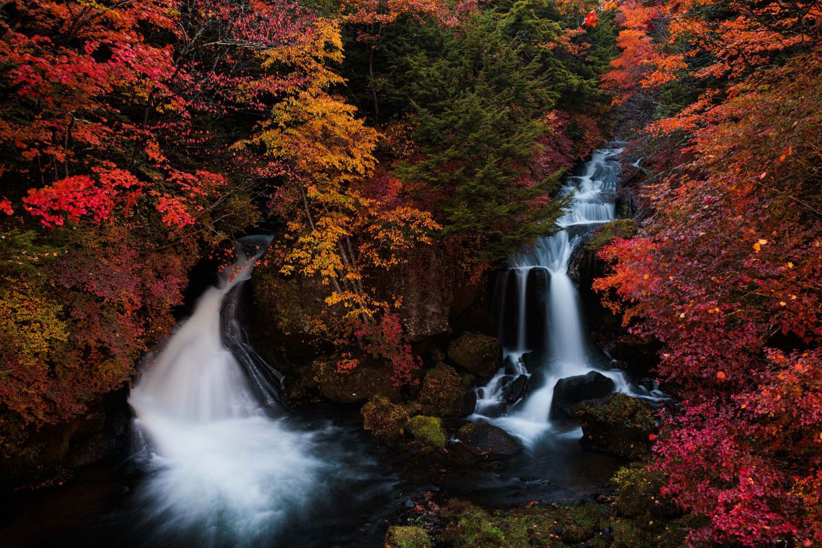 雨でしっとり、竜頭の滝 | GANREF