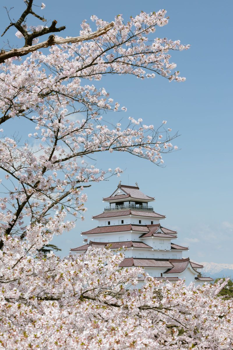 桜と城 | GANREF