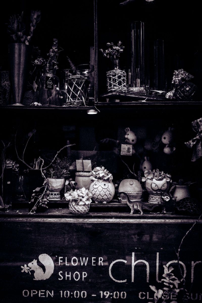 FLOWER SHOP | GANREF