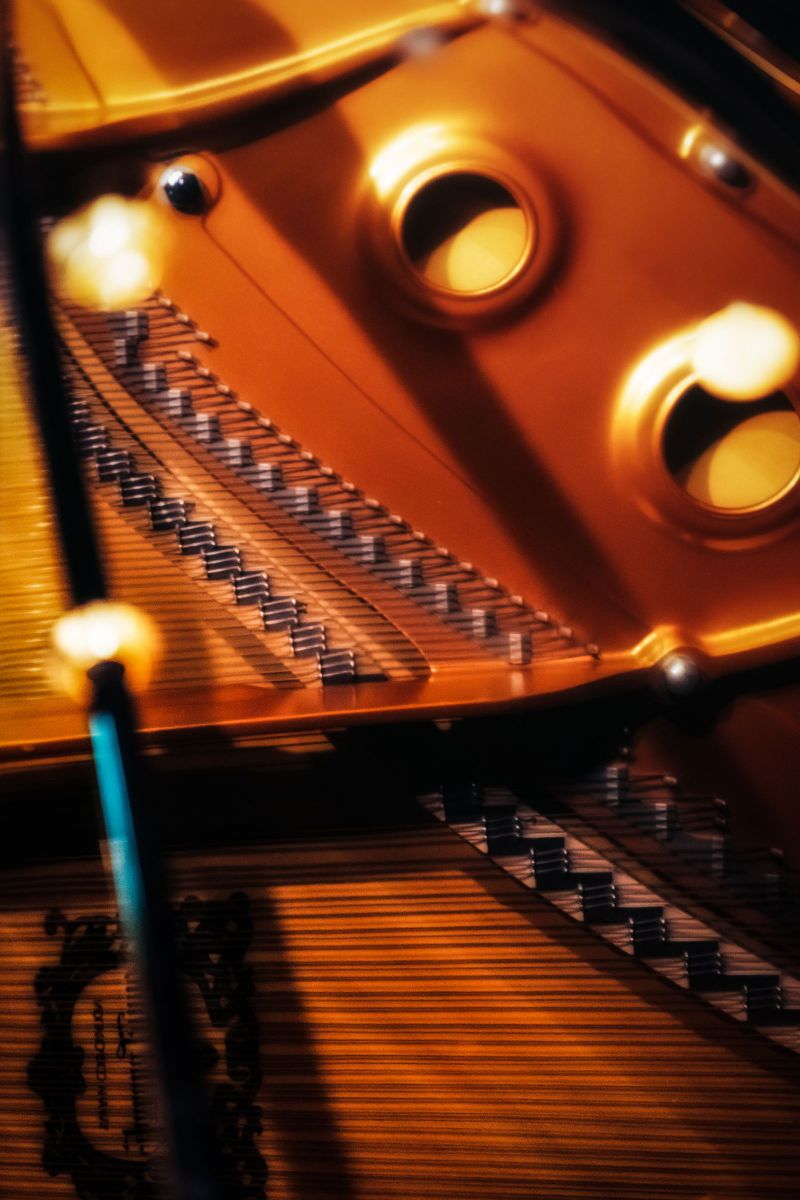 strings reflection | GANREF