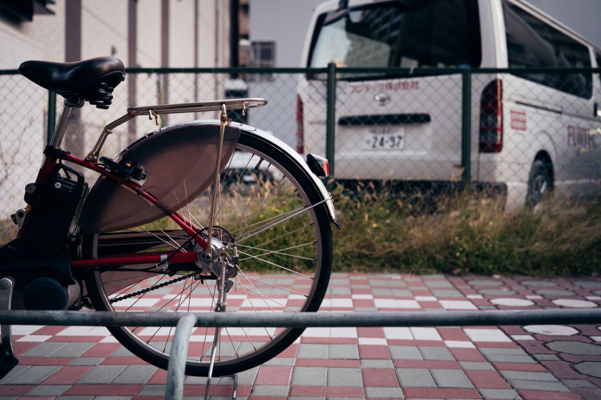 beautiful tail in the morning sun light | GANREF