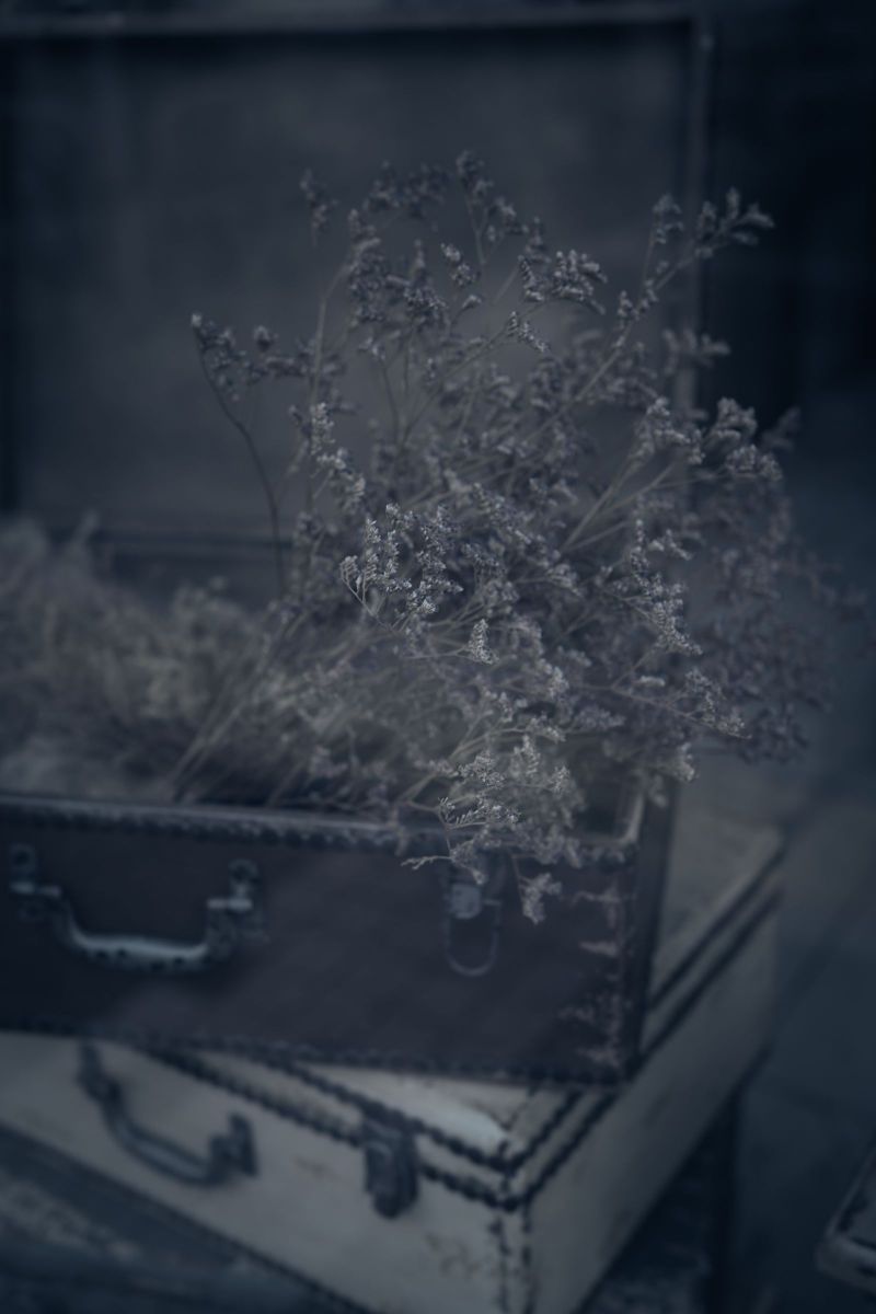 dry flowers on the leather box | GANREF