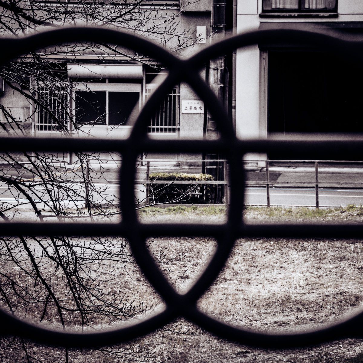 isolated 街路樹（小） | GANREF