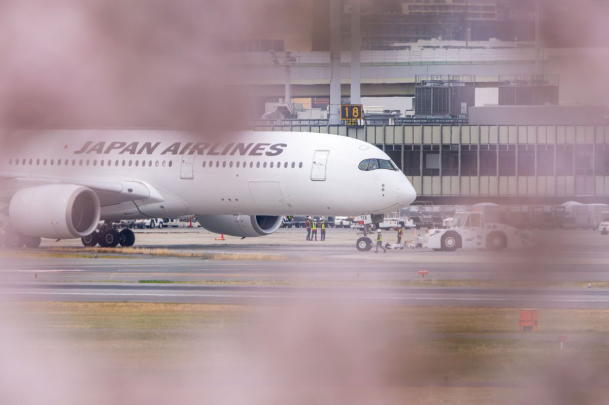 サクラトンネル | GANREF