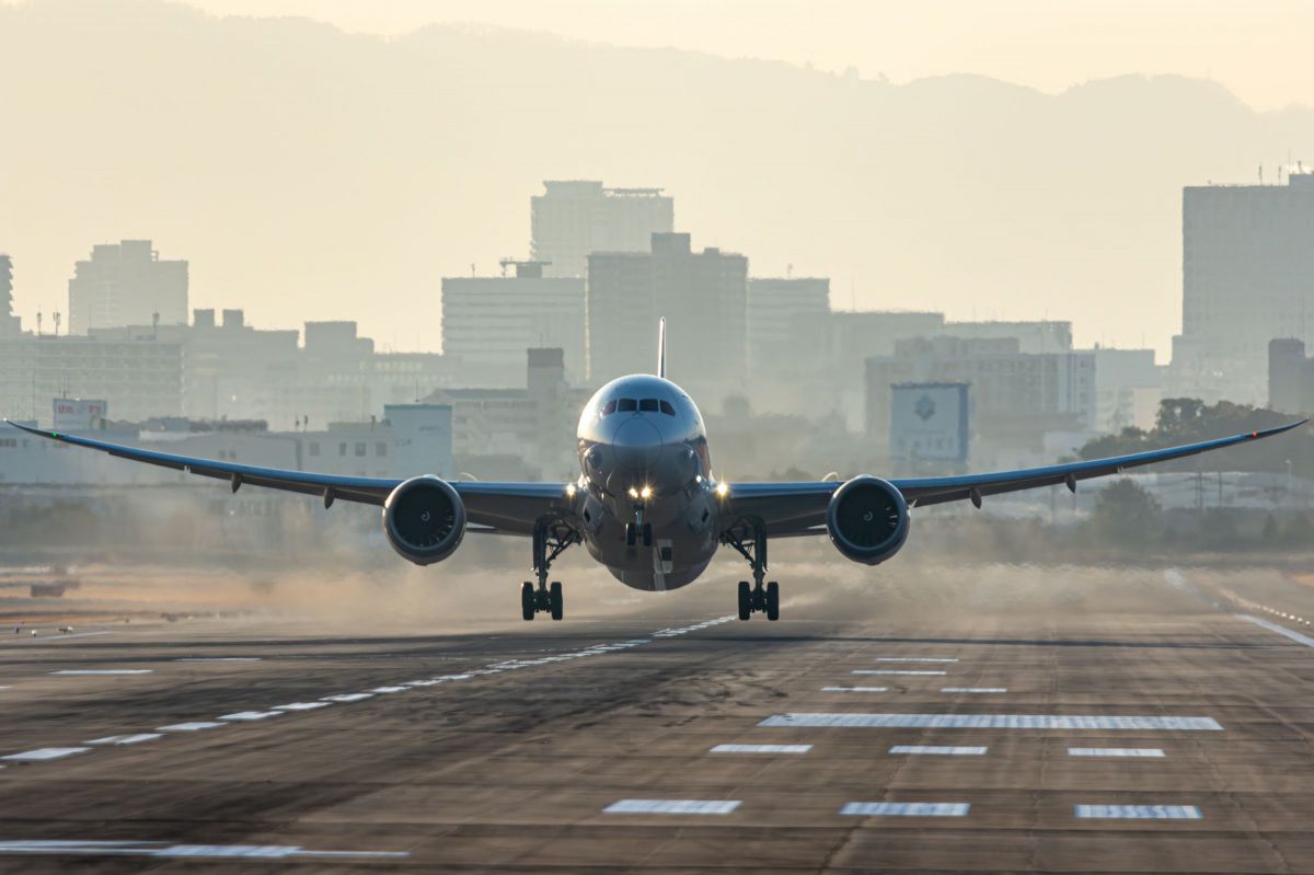 美しい勇姿 | GANREF