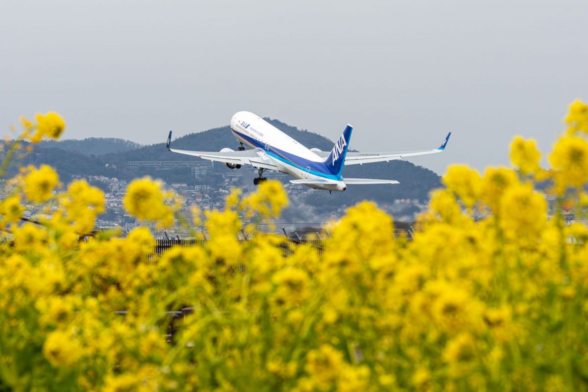 春の兆し | GANREF