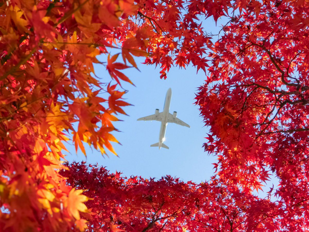 DSCN0362.jpeg | GANREF