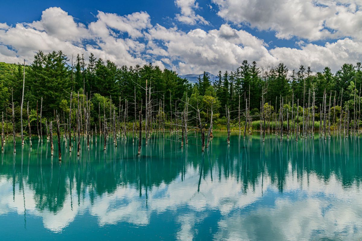 青蒼碧藍 | GANREF