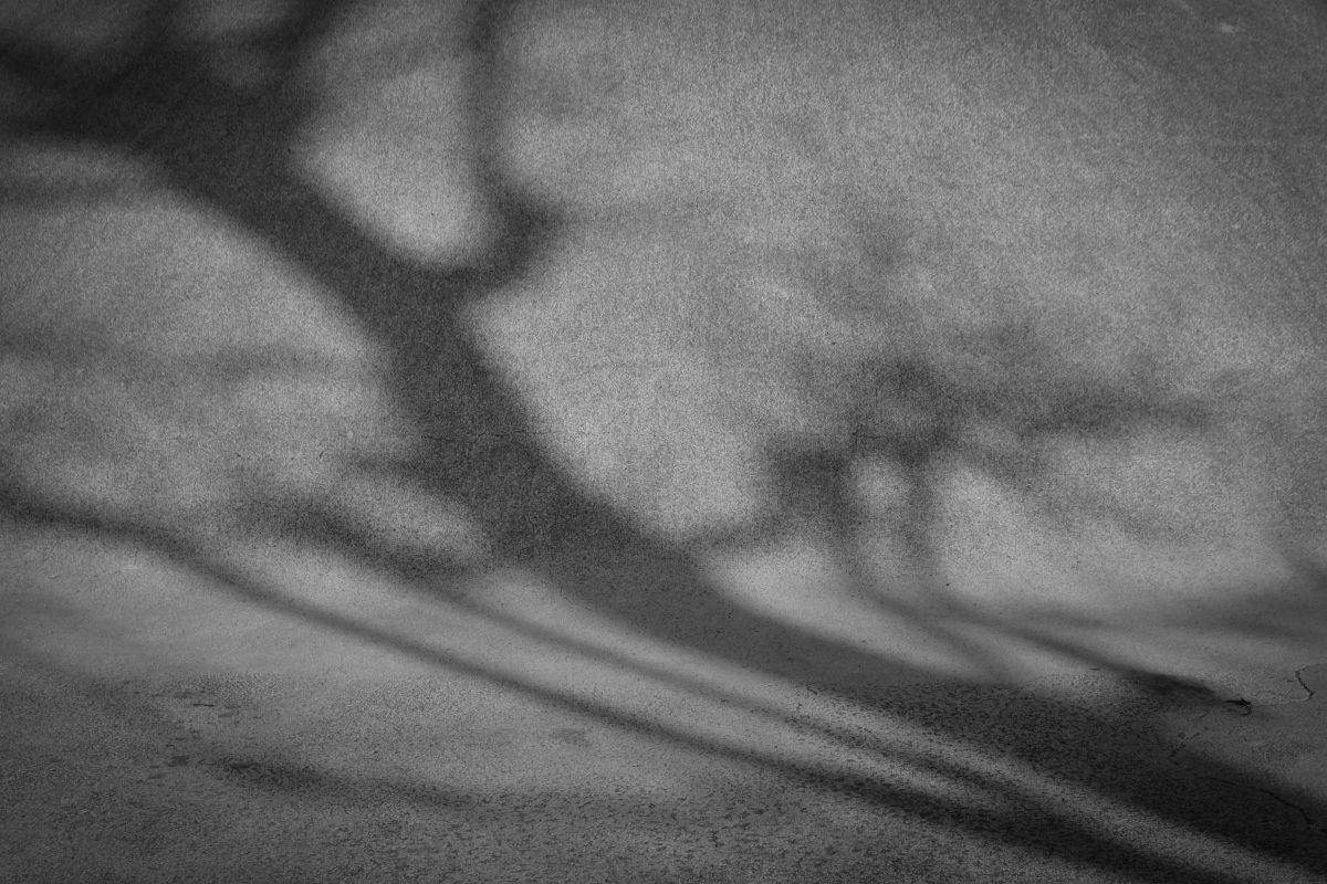 「On your mark」 | GANREF