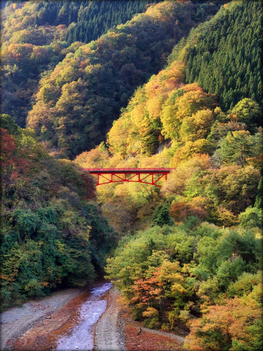 赤い橋・・ | GANREF