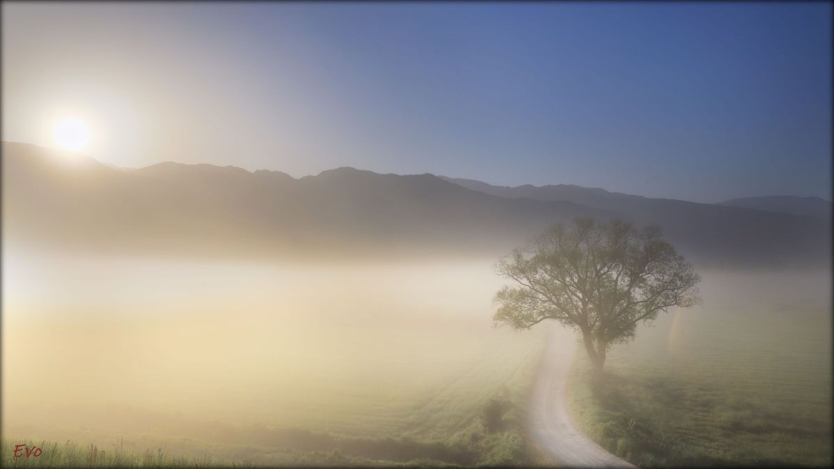 Alone・・ | GANREF