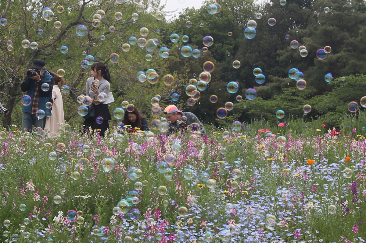 しゃぼん玉01 | GANREF