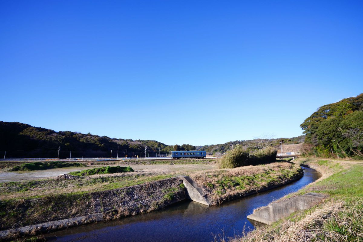 52 Weeks Project 。 | GANREF