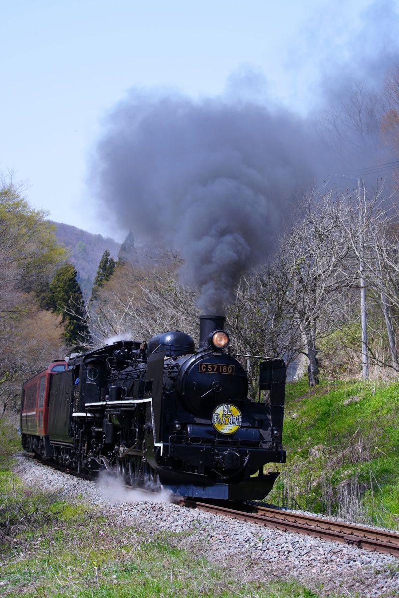 52 Weeks Project 。 | GANREF