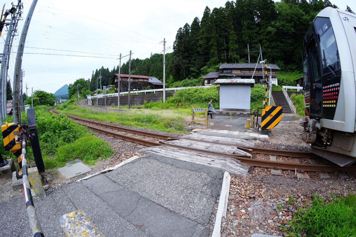 52 Weeks Project 。 | GANREF