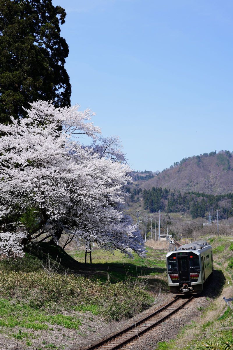 52 Weeks Project 。 | GANREF