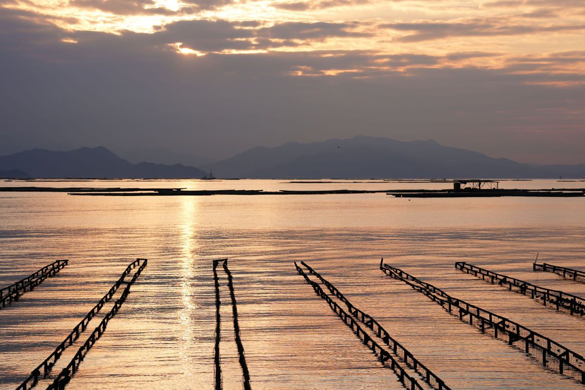 52 weeks Project (7-52) Sun road。 | GANREF