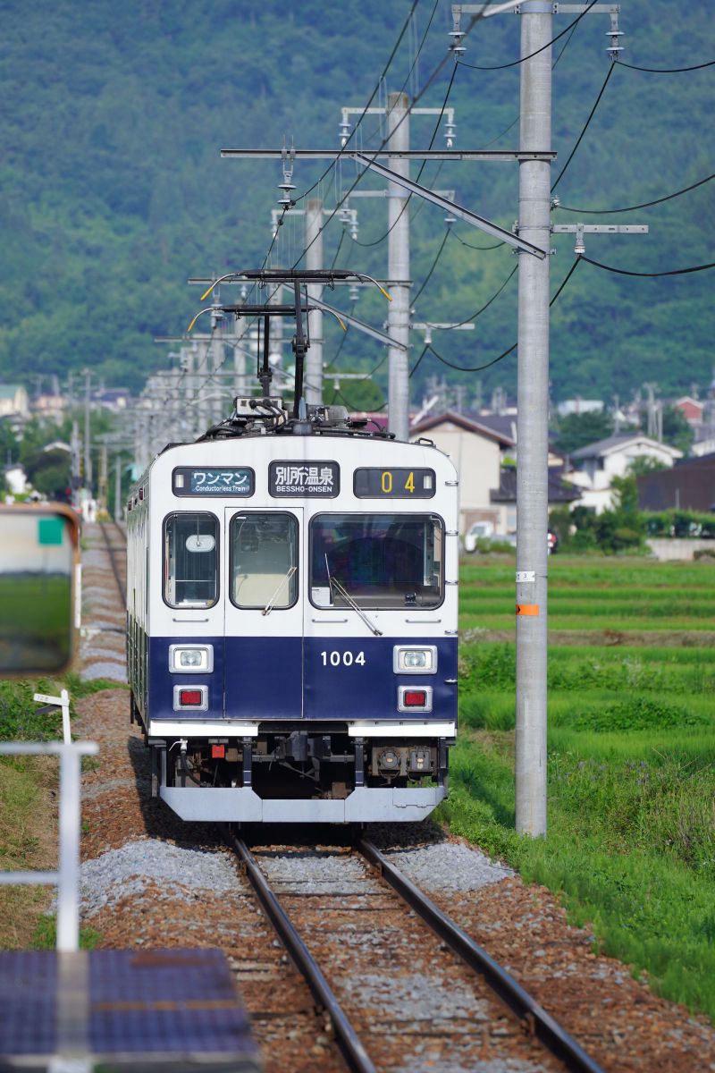 Straight。 | GANREF