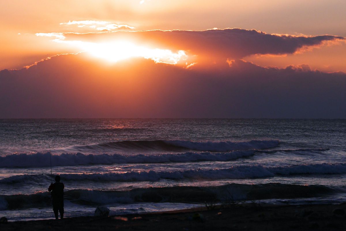 52 Weeks Project 。 | GANREF