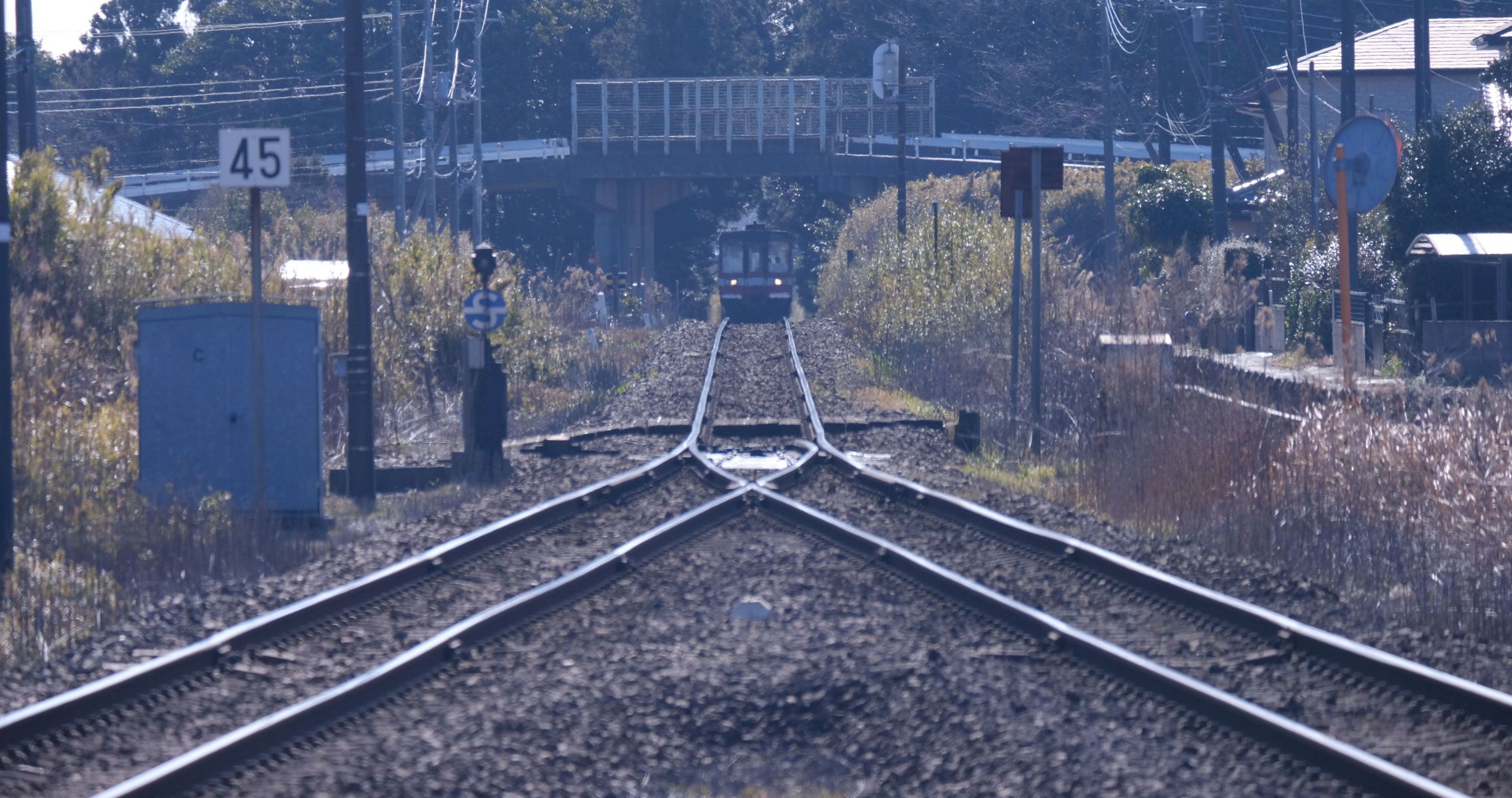 I am Back。 | GANREF