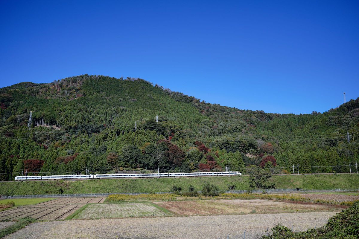 I am Back。⑱ | GANREF