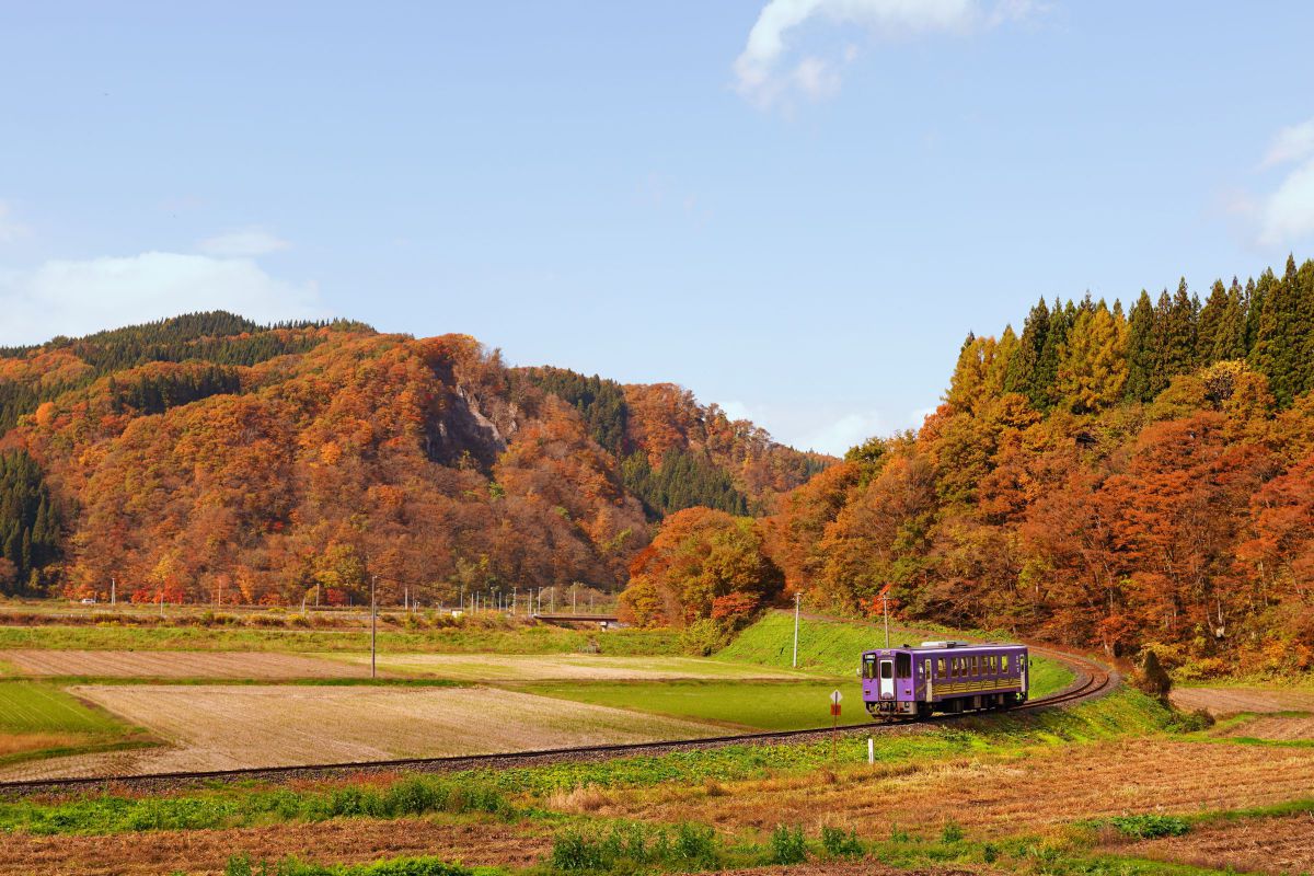 I am Back。⑳ | GANREF